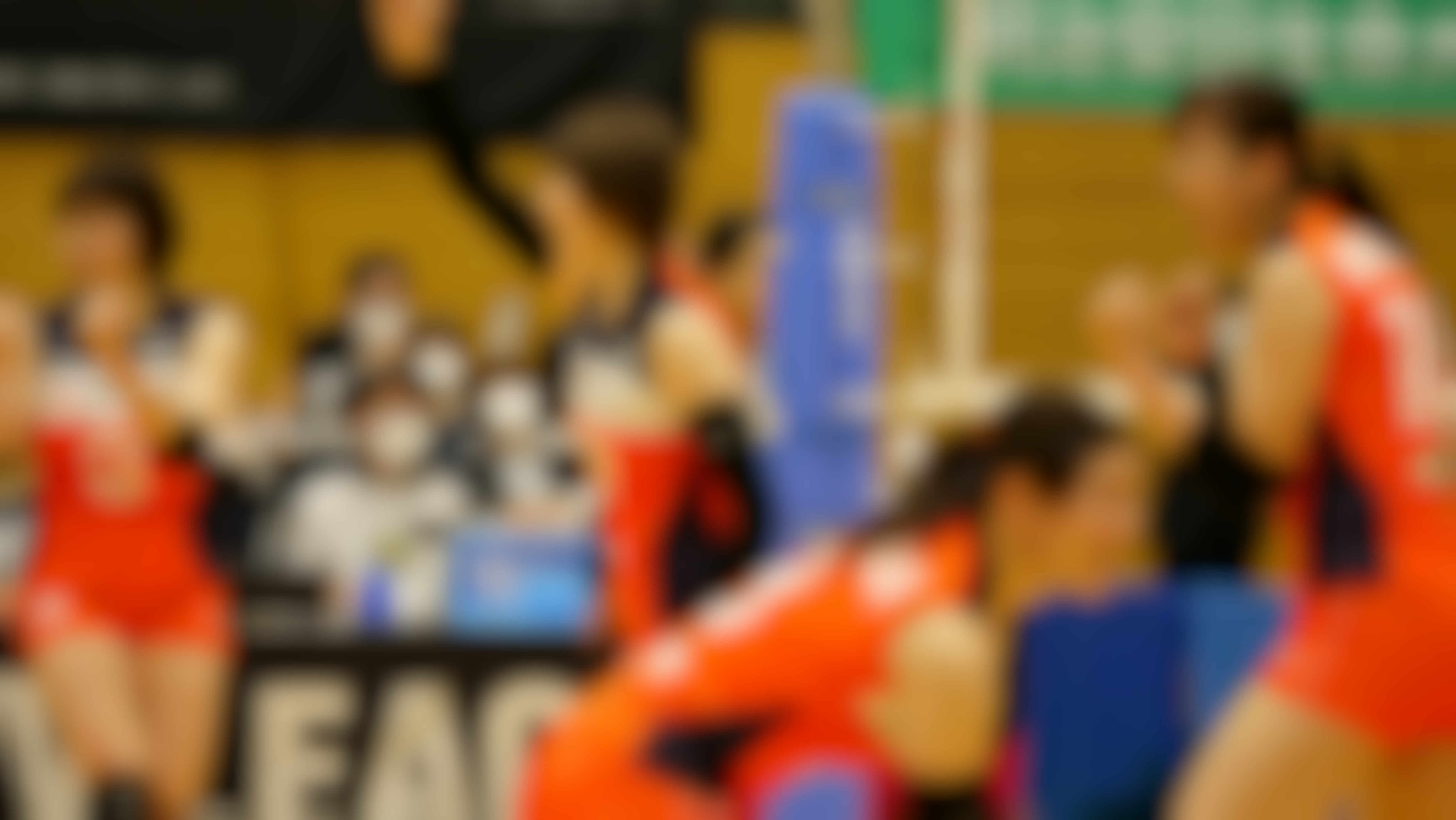 コートの女神たち＃082：【5K画像】 高まる士気、交錯する視線 | アダルト動画販売マーケットのAdama(アダマ)